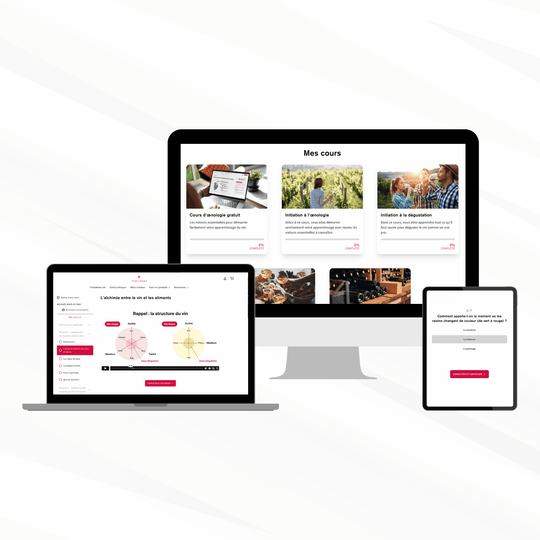 Vino Lovers - Apprendre le vin