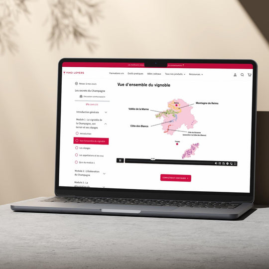 Nos guides gratuits – Vino Lovers