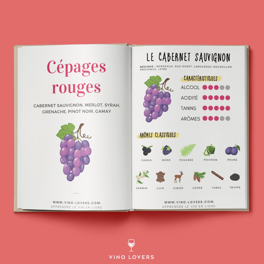 Nos guides gratuits – Vino Lovers
