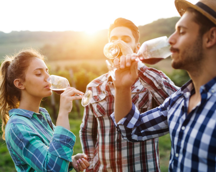 Nos guides gratuits – Vino Lovers